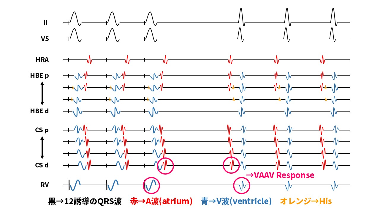 ΔAAを測定する時の電位はどの電位を選択すればよいのか | EPSとABLの道しるべ